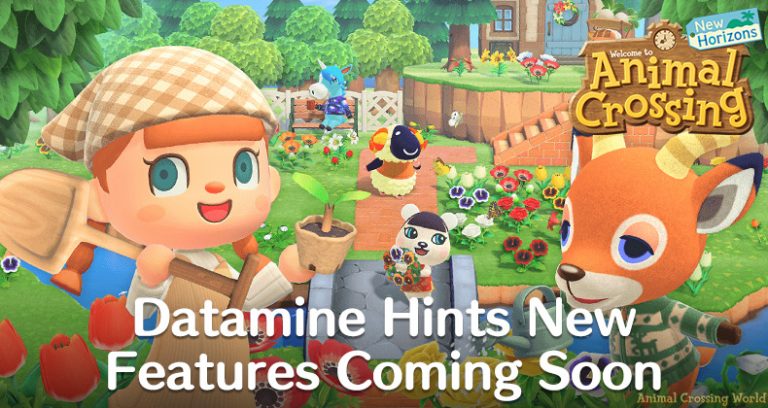 Huge Animal Crossing: New Horizons Datamine Hints New Exciting Features ...
