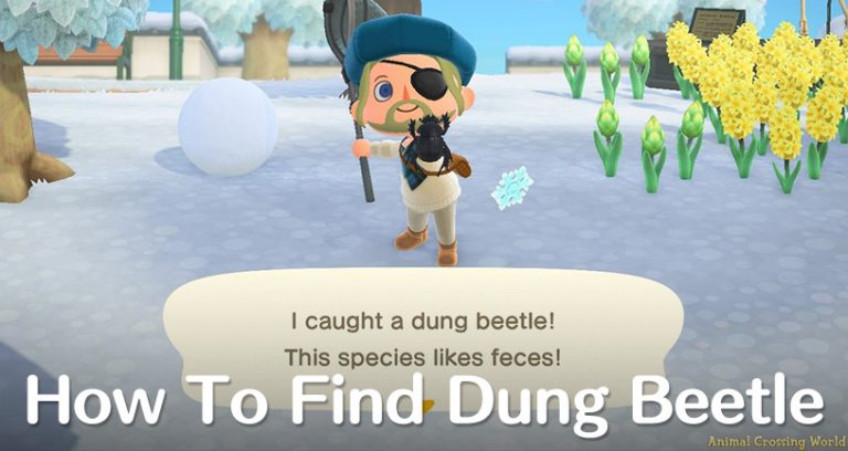 How To Find & Catch The Dung Beetle in Animal Crossing: New Horizons