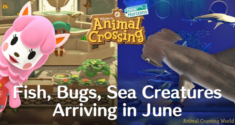 New Bugs, Fish, Sea Creatures In June For Animal Crossing: New Horizons ...