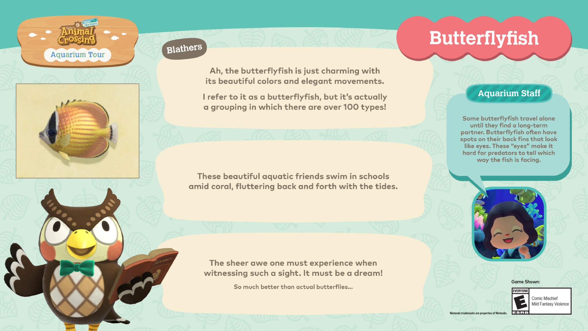 Animal Crossing Aquarium Events Return To USA This Year (Our Experience ...