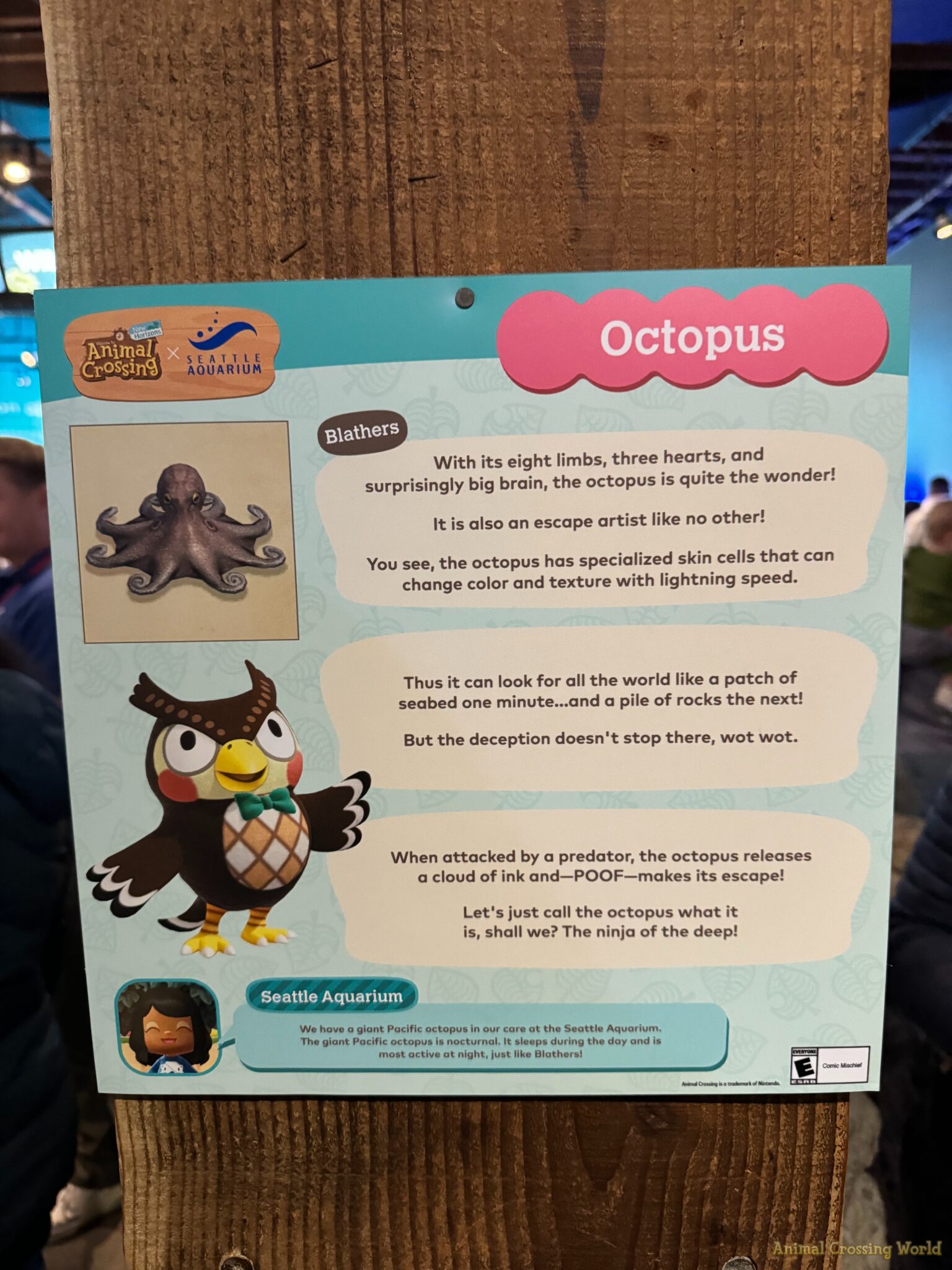 Animal Crossing Aquarium Events Return To USA This Year (Our Experience ...