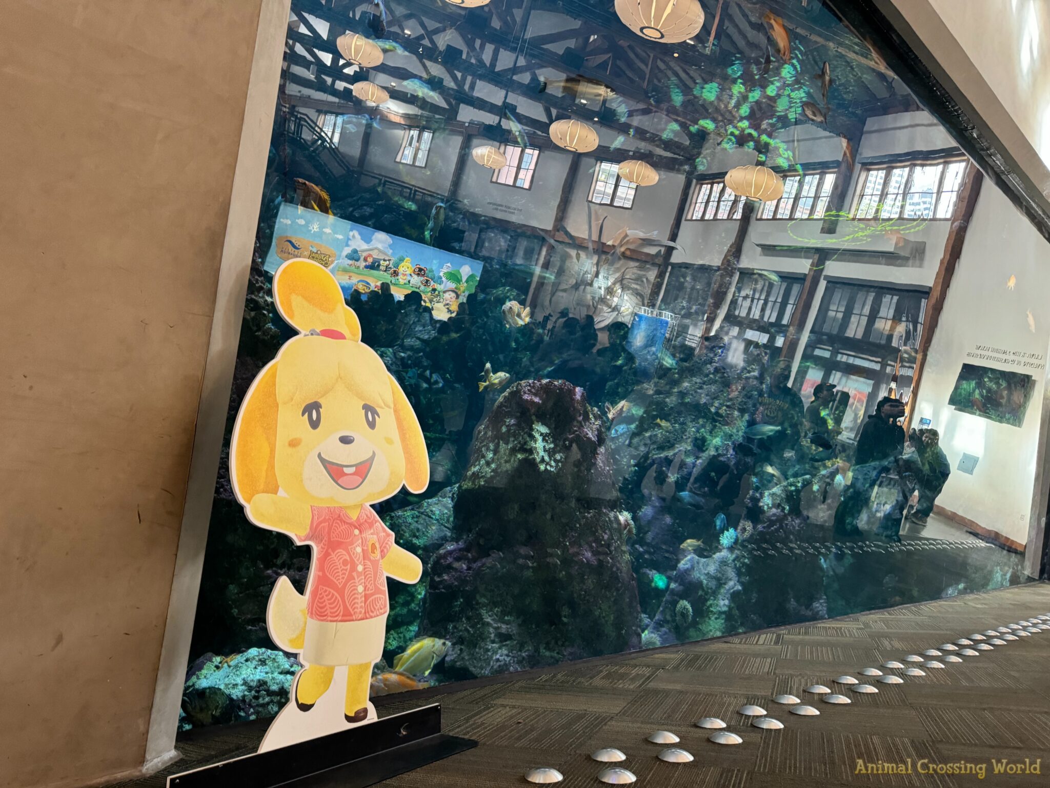 Animal Crossing Aquarium Events Return To USA This Year (Our Experience ...