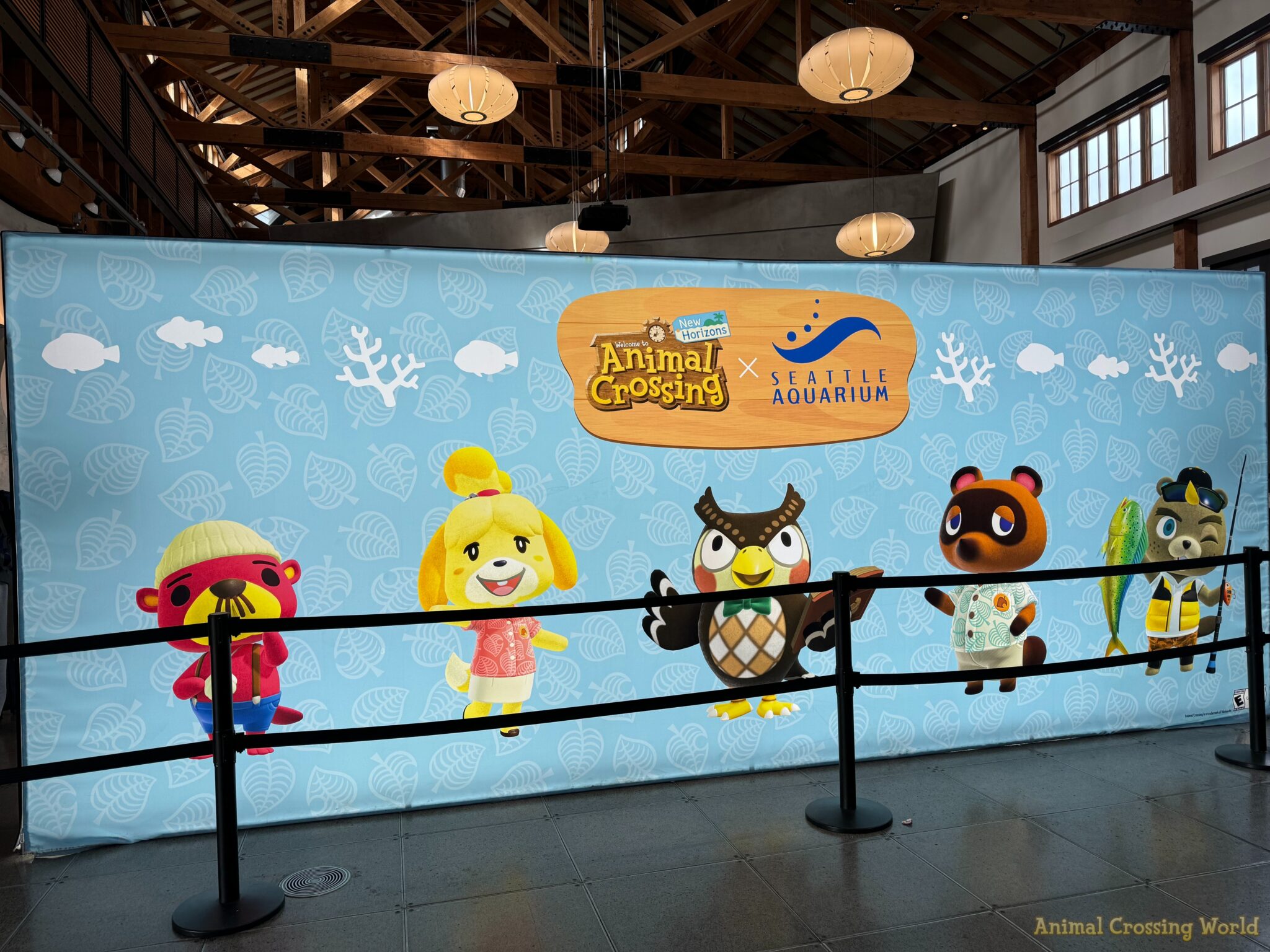 Animal Crossing Aquarium Events Return To USA This Year (Our Experience ...