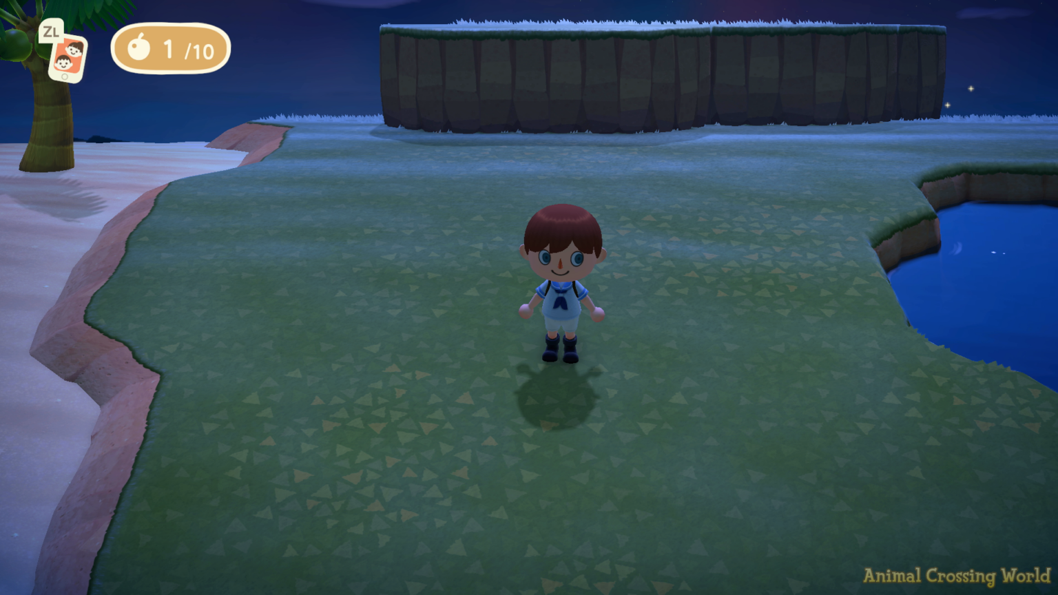 Bugs List (ACNH) with Availability & Sell Prices - Animal Crossing World